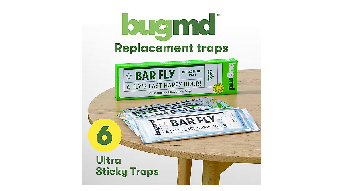 BugMD Barfly Indoor Fly Traps - Effortless Window Control