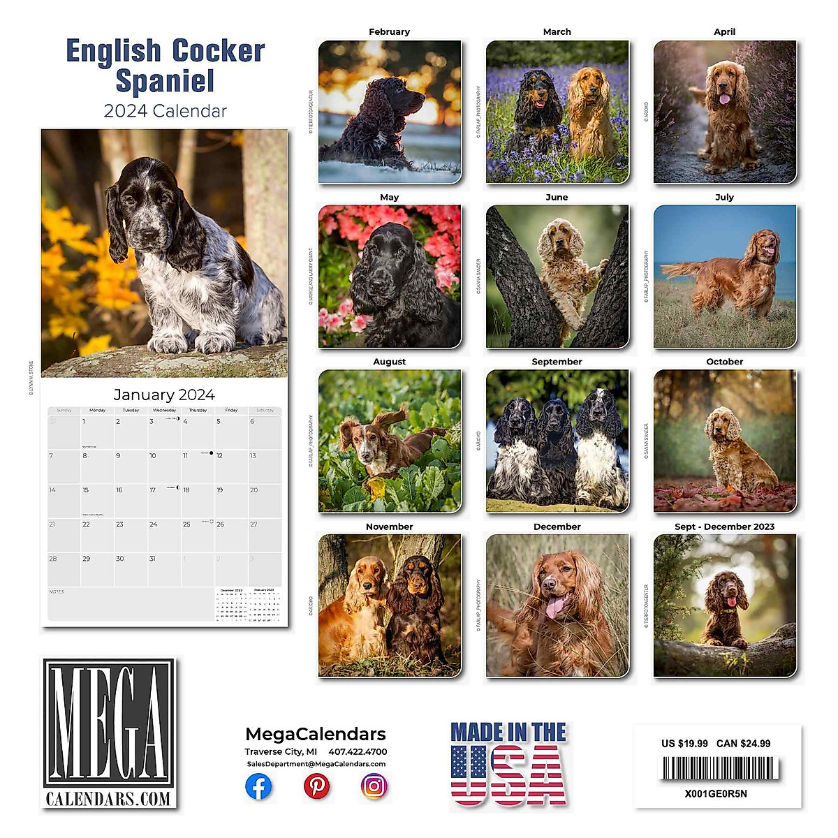 2023 2024 English Cocker Spaniel Calendar - Dog Breed Monthly Wall Calendar - 12 x 24 Open - Thick No-Bleed Paper - Giftable - Academic Teacher's Planner Calendar Organizing & Planning - Made in USA