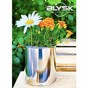 Empty Metal Paint Cans with Lids - Paint Storage Container for Solvents, Paints, or Craft Projects- ( Gallon, Quart, Pint, ½ Pint) - Multipurpose Storage for Arts and Crafts, DIY Projects (4 Packs)