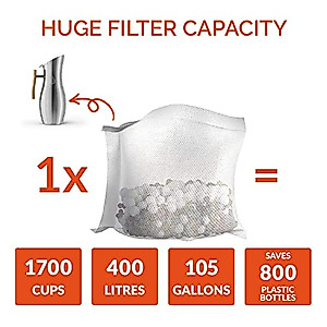 pH Vitality Stainless Steel Alkaline Water Pitcher - Alkaline Water Filter Pitcher Plus one pH Conscious 450ML Beige Wheat Straw Alkaline Water Bottle Bundle