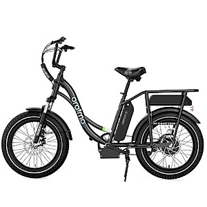 Oraimo Electric Bike for Adults,750W Motor (Peak 1000W) 20''x4.0 Fat Tire,Dual UL Certified 48V 10.4Ah Removable Battery,Ebike with 4A 3H Fast Charge,and Front Fork Suspension Electric Bicycle,Black