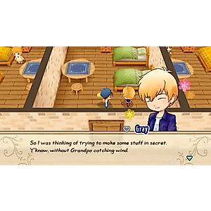Story of Seasons: Friends of Mineral Town - PlayStation 4