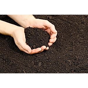 Vermont Compost Company Fort Vee - Organic Potting Soil Mix | High-Nutrient Compost-Based Potting Soil for Indoor & Outdoor Container Seed Starting, Plants & Vegetables Organic Gardening | 20 Quarts