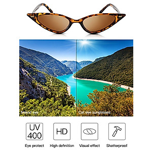 Frienda Vintage Cat Eye Leopard Sunglasses Retro Cat Eye Sunglasses for Women Men Classic Retro Designer Style Leopard (Brown) (Brown)