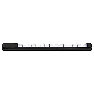 Arturia MicroLab 25 Key USB MIDI Keyboard Controller