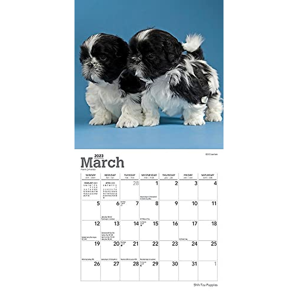Shih Tzu Puppies | 2023 7 x 14 Inch Monthly Mini Wall Calendar | BrownTrout | Animal Small Dog Breed Puppy DogDays
