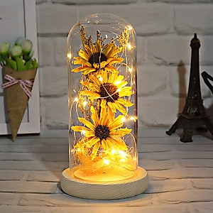 Sunflower Gifts for Women, Sunflowers Artificial Flowers in Glass Dome with LED Strip, Birthday Gifts for Mom & Grandma, Sunflower Decor on Mother's Day, Christmas, Valentine's Day (Yellow)