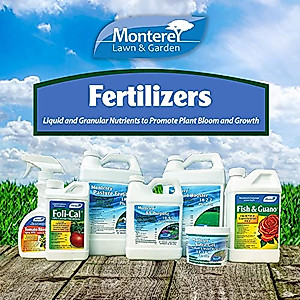 Monterey LG7220 Epsom Salt for Plants Magnesium Sulfate for Gardening, 4 lb