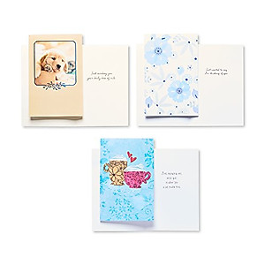 American Greetings Friendship Cards, Assorted (12-Count)