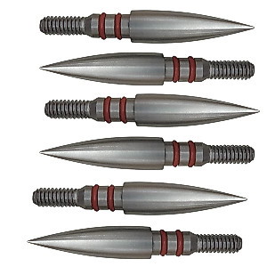 Aklisdlha Field Points arrowheads 100/125/150/200/300 Grains Archery Field Points,Stainless Steel Screw in Archery Field Tips and Broadheads (1 Dozen 12 PCS)(17/64″-100 Grains)