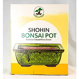 Rectangular Shohin Bonsai Pot, Cactus & Succulent Planter 6"x 4.5"x 2.25" w/Mesh & Wire - Moss Green