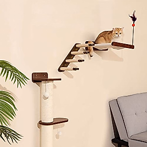 tamfom Cat Hammock Wall Mounted, Cat Shelves and Perches for Wall, Cat Wall Furniture for Indoor Cats, Quality Cat Furniture for Sleeping, Playing, Climbing and Lounging, Cat Wall Bed