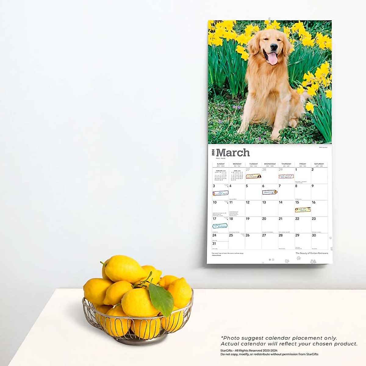 The Beauty of Golden Retrievers | 2024 12 x 24 Inch Monthly Square Wall Calendar | Sticker Sheet | StarGifts | Animals Dog Breeds Retriever
