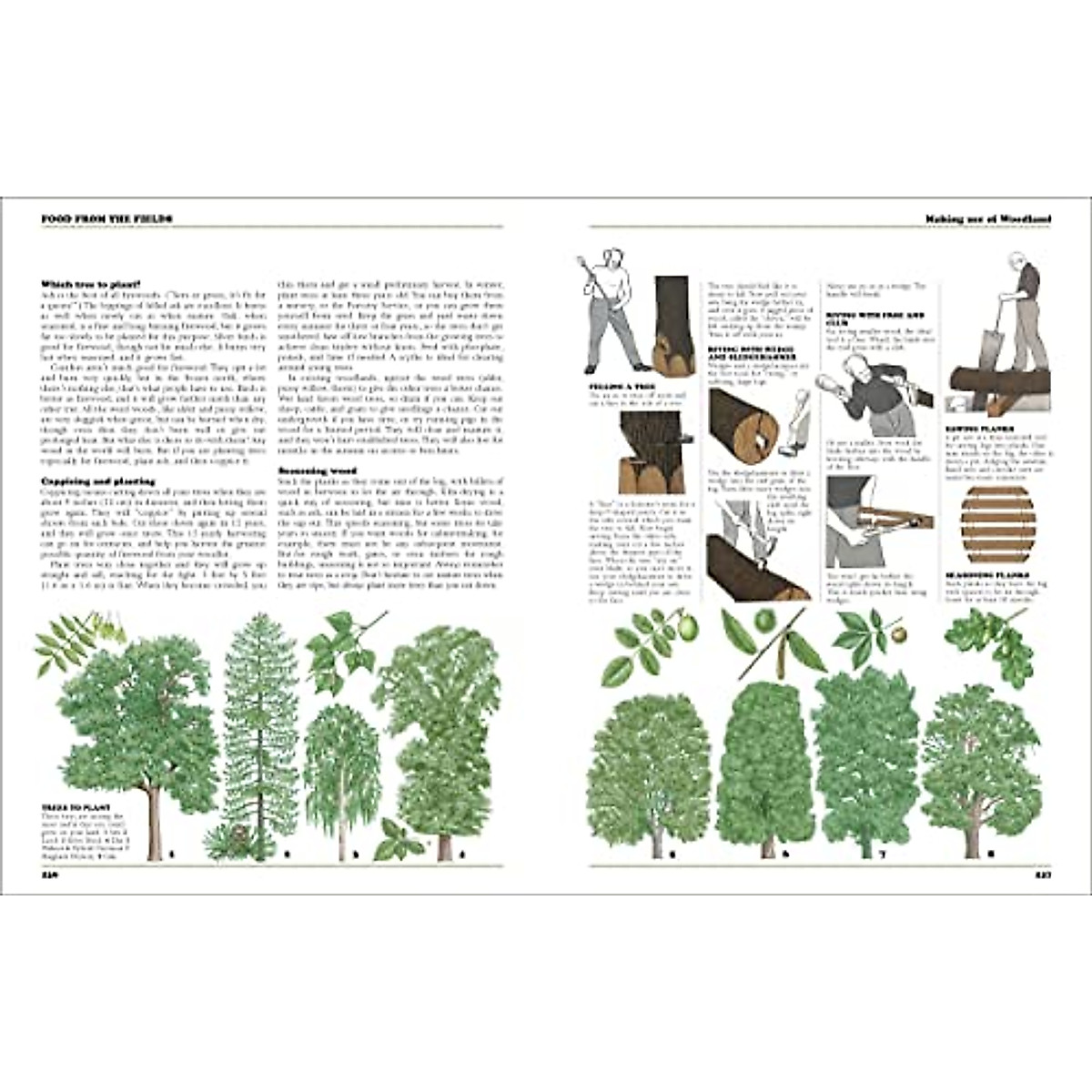 The Self-Sufficient Life and How to Live It: The Complete Back-to-Basics Guide