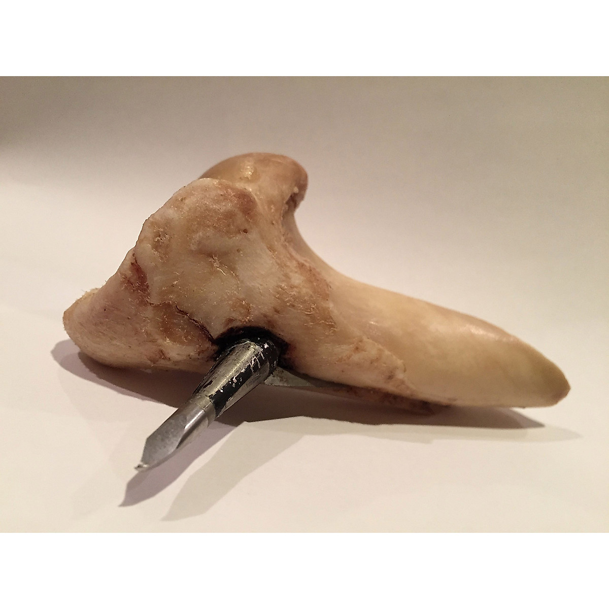 Jak-Knife by Wasp Archery