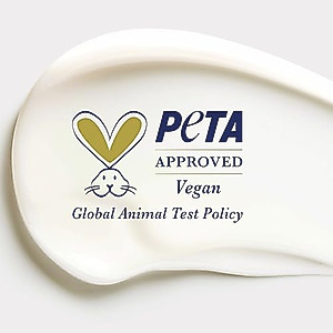 Dove Advanced Care Antiperspirant Deodorant Stick Sheer Fresh 4 Count Anti-stain antiperspirant deodorant for soft underarms 72-hour underarm odor protection and all-day sweat control 2.6 oz