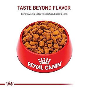 Royal Canin Boxer Adult Dry Dog Food, 17 lb bag