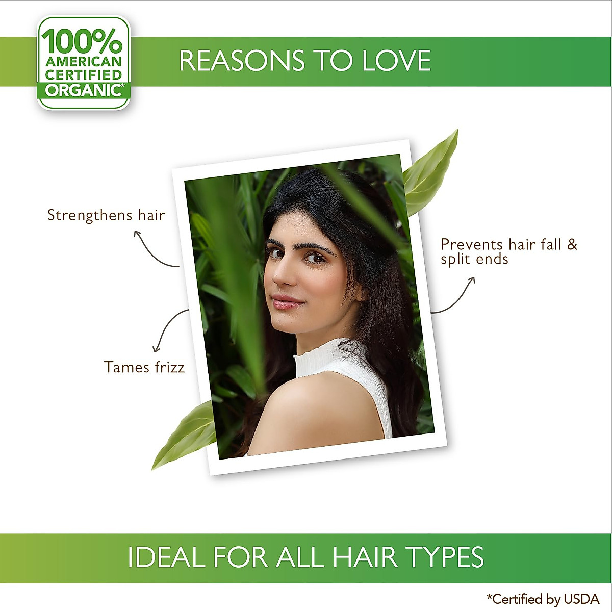 Organic Harvest Everyday Shampoo: Coffee & Walnuts | For Dry & Frizzy Hair | Anti-hairfall Shampoo For Men & Women | 100% American Certified Organic | Sulphate and Paraben-free - 250ml