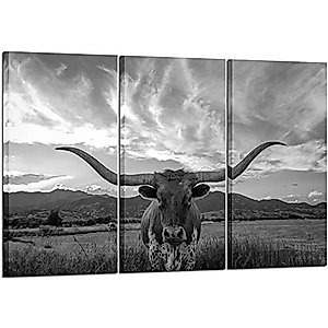 Kreative Arts - Large Modern Canvas Wall Art for Home and Office Decoration Animal Pictures Print Art on Canvas Texas Longhorn Canvas Prints Giclee Artwork for Wall Decor 16x32inchx3pcs