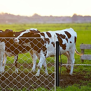 Gtongoko Chain Link Fabric Fence Stretcher, 5-Hook Bar, New Upgraded 31.5 Inch Woven Wire Stretcher, Fence Stretcher Tool,Steel, Black