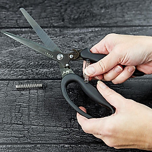 Tonic Studios Tim Holtz Recoil Scissors - Titanium Coated, Double-Beveled Blades, Black (9.5'')