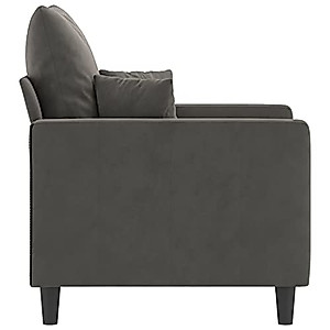 ULUYYUC Sofa Chair,Lounge Sofa Modern Sofa Funky Sofa Living Room Furniture with Armrests Suitable for Living Room Apartment Home Office Dark Gray 23.6" Velvet