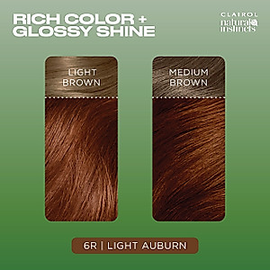 Clairol Natural Instincts Demi-Permanent Hair Dye, 6R Light Auburn Hair Color, Pack of 1