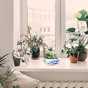 Cabilock Blue and White Porcelain Flowerpot Water Lily Ceramic hydroponic Terrarium Garden Shallow Pot Modern Flower Pot Small Cactus pots Round Shallow Pot Plant Ceramics Window Frame