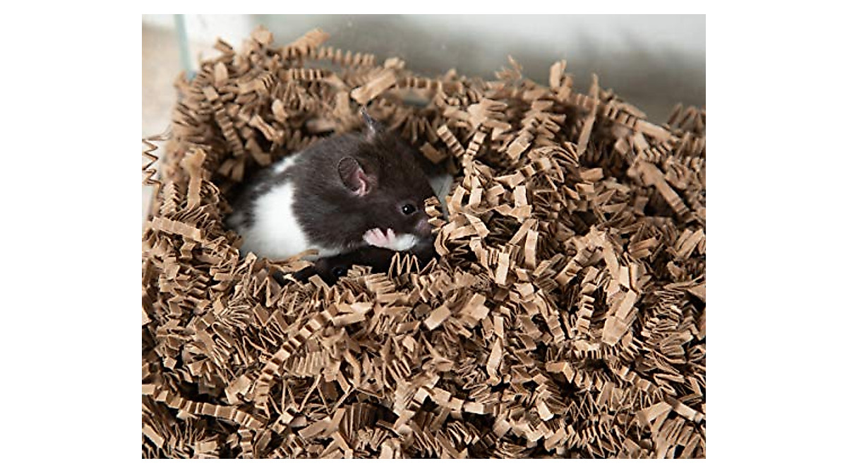 Eco Bedding FiberCore Box for Small Animals - 10 lb