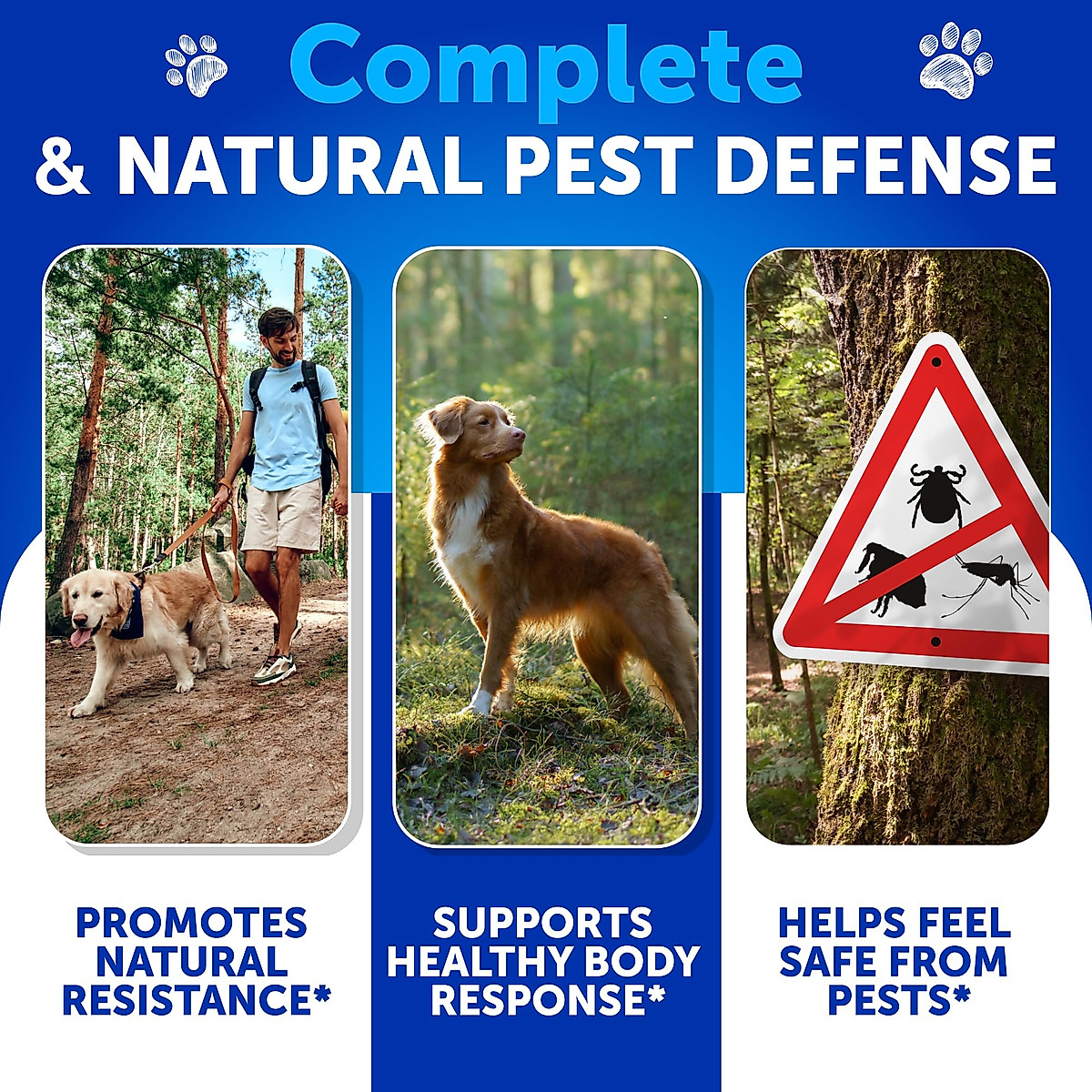 Flea and Tick Chewables for Dogs - Made in USA - Natural Flea and Tick Supplement for Dogs - Oral Flea Pills for Dogs - All Breeds and Ages - 70 Chews