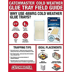 Catchmaster Cold Weather Glue Traps 6PK Mouse Traps Indoor for Home, Pest Control Adhesive Tray, Catch Bugs, Crickets, Spiders, Rats & Rodents, Pet Safe Pre-Baited Glue Boards for House, Shed & Garage