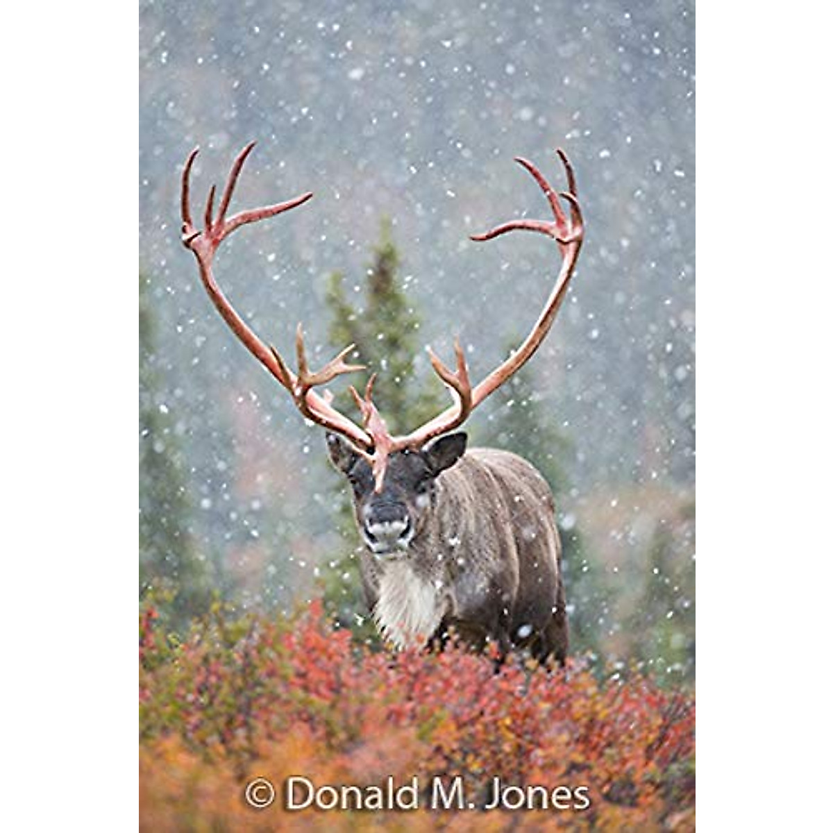 Sierra Club Engagement Calendar 2021