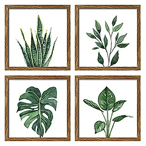ArtbyHannah 10x10 Inch 4 Panels Botanical Framed Walnut Picture Frame Collage Set for Wall Art Décor with Watercolor Green Leaf Tropical Plant Square Frame for Gallery Wall Kit or Home Decoration