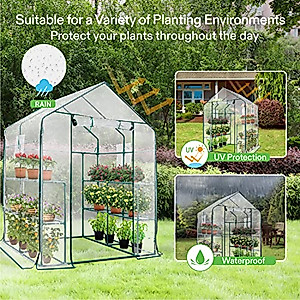 VIVOSUN 57x57x77-Inch Transparent Mini Walk-in Green House with Window and Anchor, Plant Garden Hot House 2 Tiers 8 Shelves, 4.7 x 4.7 x 6.4 FT