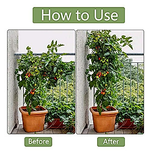 Garden Plant Stakes 36 Inch 3Ft Steel Plant Stick Support, Tomato Stakes for Growing Climbing Plants, Pack of 25