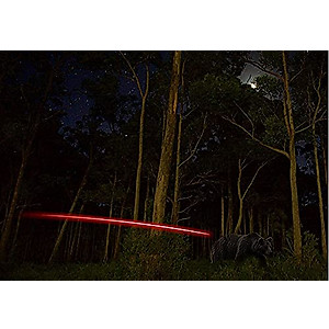 DEEPOWER Lighted Nocks for Crossbow Bolts 6-Pack Arrow Nocks for .300"/7.62mm Inside Diameter with ON/Off Switch Archery Nocks for Archery Hunting (Red)