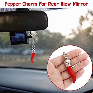 Remuuly 10 Pcs Italian Horn Keychain Italian Red Horn Charm Chili Pepper Keychain Souvenir for Car Mirror Accessories(Silver)