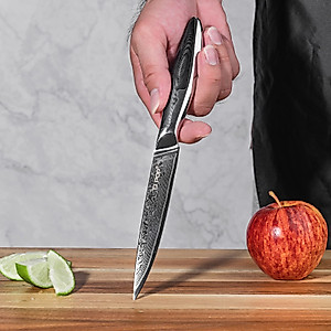 TJ POP Damascus Kitchen Utility Knife 5 Inch, Ultra Sharp Petty Chef Knife, Full-tang Knife, Japanese VG10 Steel Blade, Comfort Grip Non-slip G10 Handle