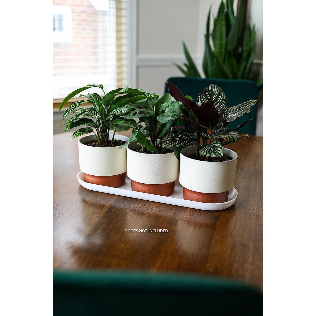 The HC Companies 15 Inch Oval Sprite Pot Plant Saucer - Indoor Outdoor Plastic Plant Trays for Pots - 15"x5.21"x.93, Artisan Taupe