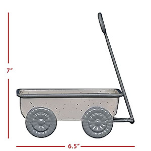 Foreside Home & Garden White Rustic Antique Gray Metal Wagon Soap Dish