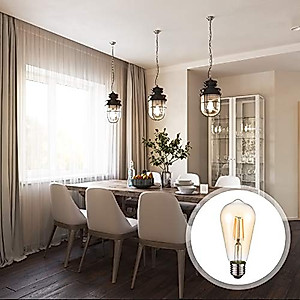 HESSION Vintage Edison LED Bulb, 6-Pack ST58 E26 Base 40 Watt Equivalent, Warm White 2200K-2700K, Antique Vintage Style Light, Squirrel Cage Filament Edison Light Bulbs Amber Glass, Dimmable