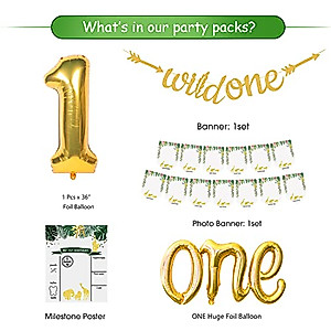HIPEEWO Wild One Birthday Decorations - Jungle Theme Party Supplies for First Birthday, Balloons Garland Arch, High Chair Banner, Balloon Boxes, Backdrop, Crown, Animal Safari 1st Birthday Decorations