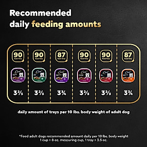 CESAR Adult Wet Dog Food Classic Loaf in Sauce Grilled Chicken, Filet Mignon, Porterhouse Steak, Beef, Chicken & Liver and Turkey Variety Pack, 3.5 Ounce (Pack of 36)