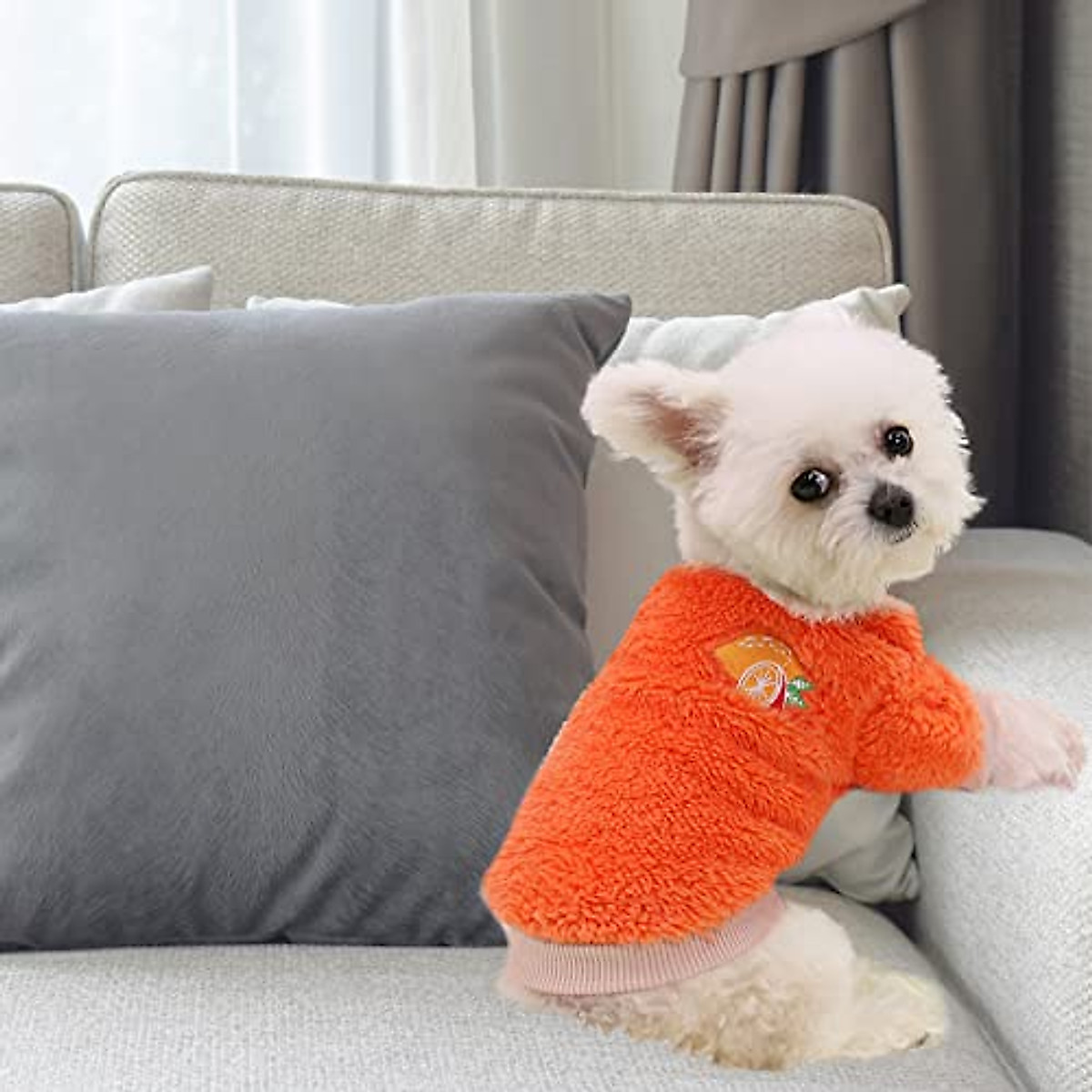 GLSTOY Decorative Outfits Autumn Warm Pattern Winter Stretchy Shirts Sweater Clothes Dogs Cold and Outdoor Clothes: Pet Cloth M Legged Thickening Two Fruit Clothing, Comfortable