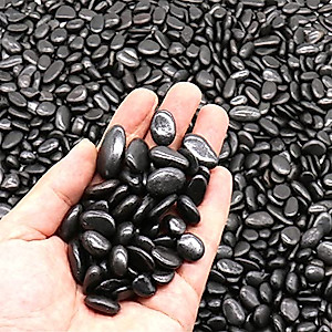 Premium Pebbles Black Rocks for Plants. Polished Decorative Pebbles. 3/8 Inch 2 lbs for Garden, Indoor, Crafting, Succulents, pots, Plants (XSM (0.375 Inch), Black -Polished, 2)
