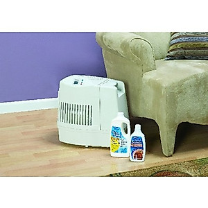 Splash Scent Cinnamon Apple Humidifier Fragrance