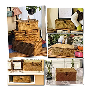 Shelf Baskets Rattan Storage Basket with Lid Handwoven Seagrass Basket Multipurpose Organizer for Snack Toys Rectangular Household Basket for Shelf Wardrobe 23x13x8cm