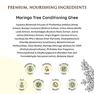 Qhemet Biologics Cleanse & Condition Duo - Includes Egyptian Wheatgrass Cleansing Tea Shampoo & Moringa Tree Conditioning Ghee to Soften and Detangle Hair - 2-Piece Haircare Set