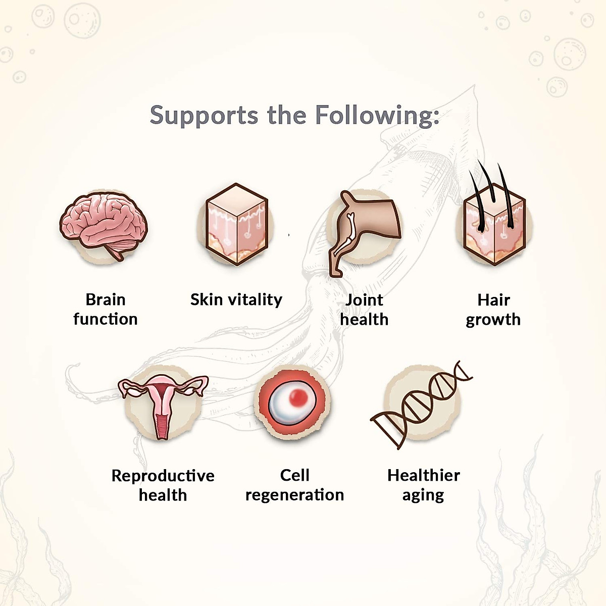 Dr. Dobias - Feelgood Omega Oil for Dogs, Calamari Oils, Non-Fish Liquid Omega 3 Fatty Acids for Dogs, for Coat, Joint & Immune Health, 6.7 fl Oz