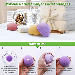 Konjac Facial Sponges for Cleansing Exfoliating - Konjac Face Sponge for Washing Face Body, Organic Natural Cleaning Puff Buff Scrubber for Shower Bath SPA for Babys Men Women